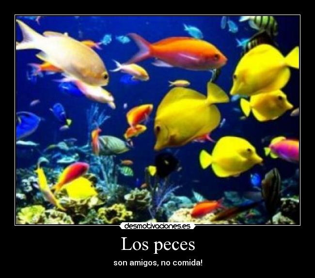 Imágenes y Carteles de PECES Pag. 56 | Desmotivaciones